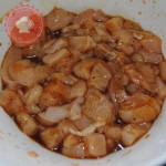 Mine frit de l'île Maurice